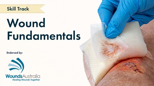 Wound Fundamentals | Ausmed Skill Track